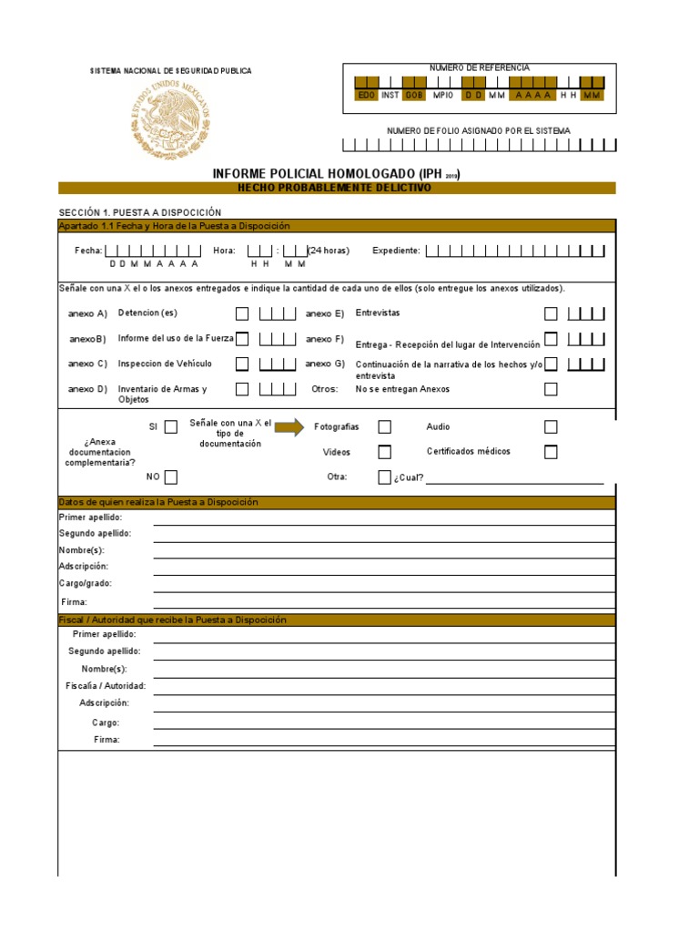 Formato Iph Delitos | PDF | Queja | Policía