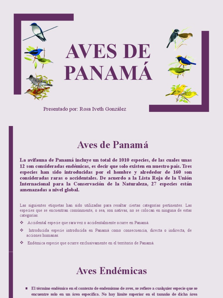 Aves de Panamá | PDF | Aves | Migración de aves