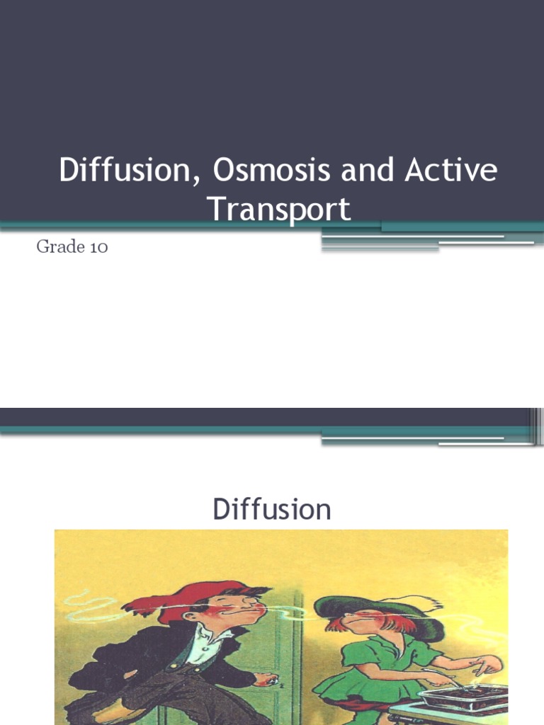 Diffusion, Osmosis and Active Transport | PDF | Osmosis | Diffusion