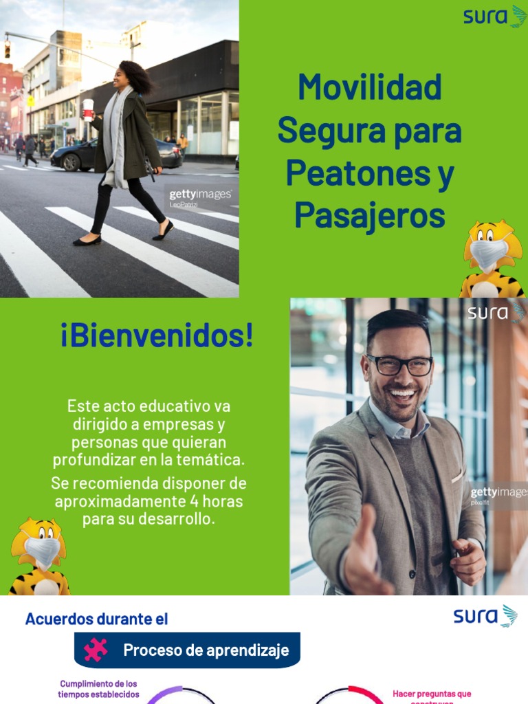 Movilidad Segura para Peatones y Pasajeros | PDF | Peatonal | Transporte