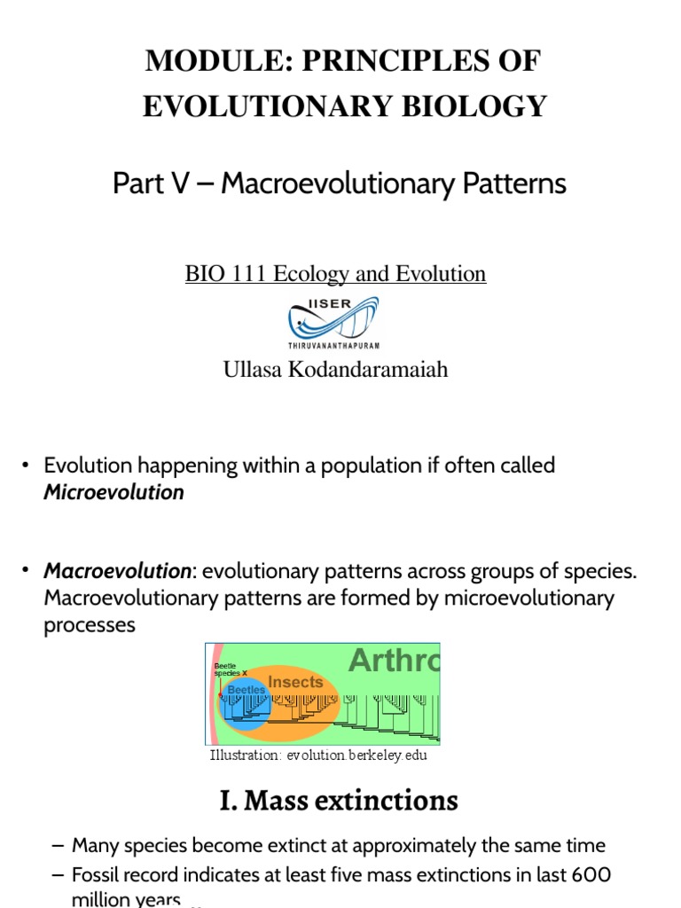2 5 Macroevolution Pdf Biological Evolution Evolution