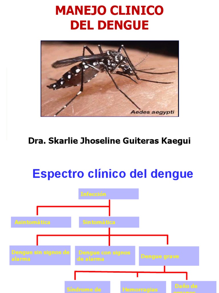 Dengue | PDF | Enfermedades y trastornos | Especialidades Medicas