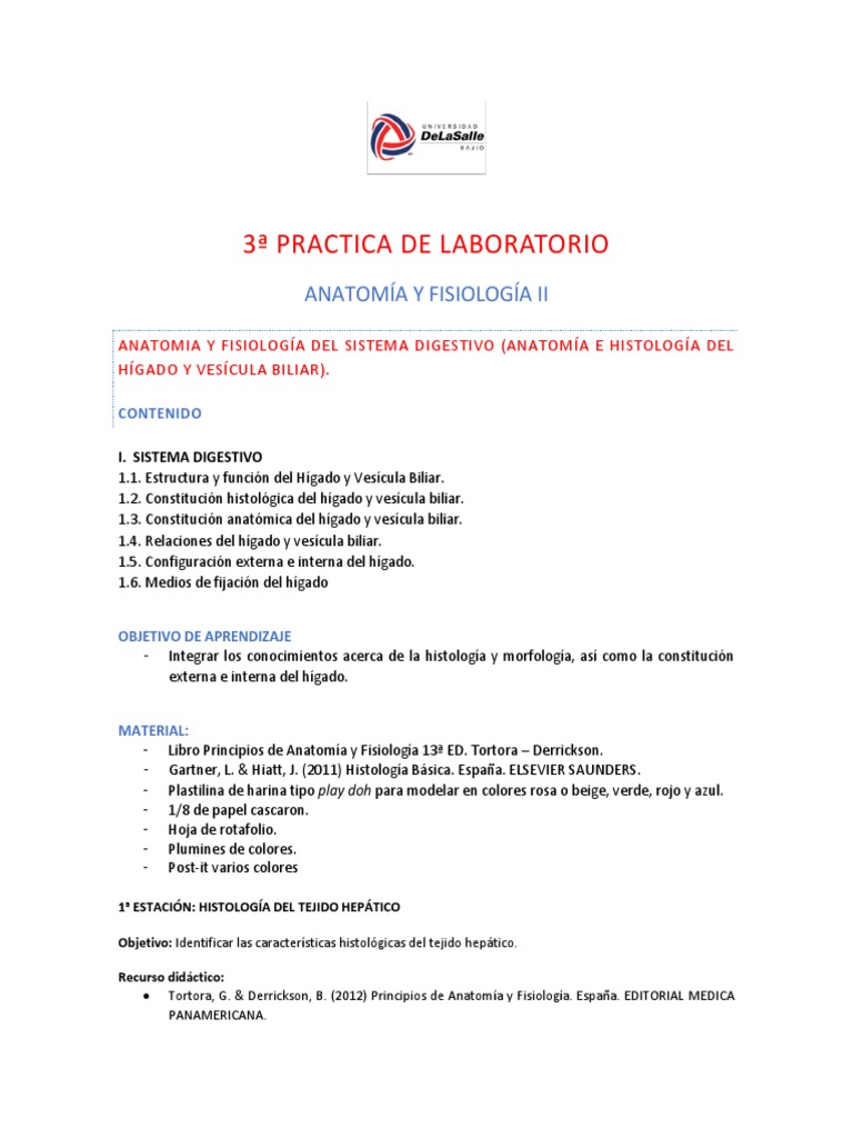 3a Práctica de Lab AyFII Sistema Digestivo Hígado | PDF | Hígado | Anatomía