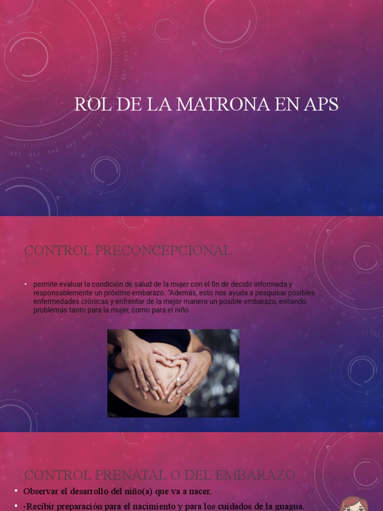 Rol de La Matrona en Aps | PDF