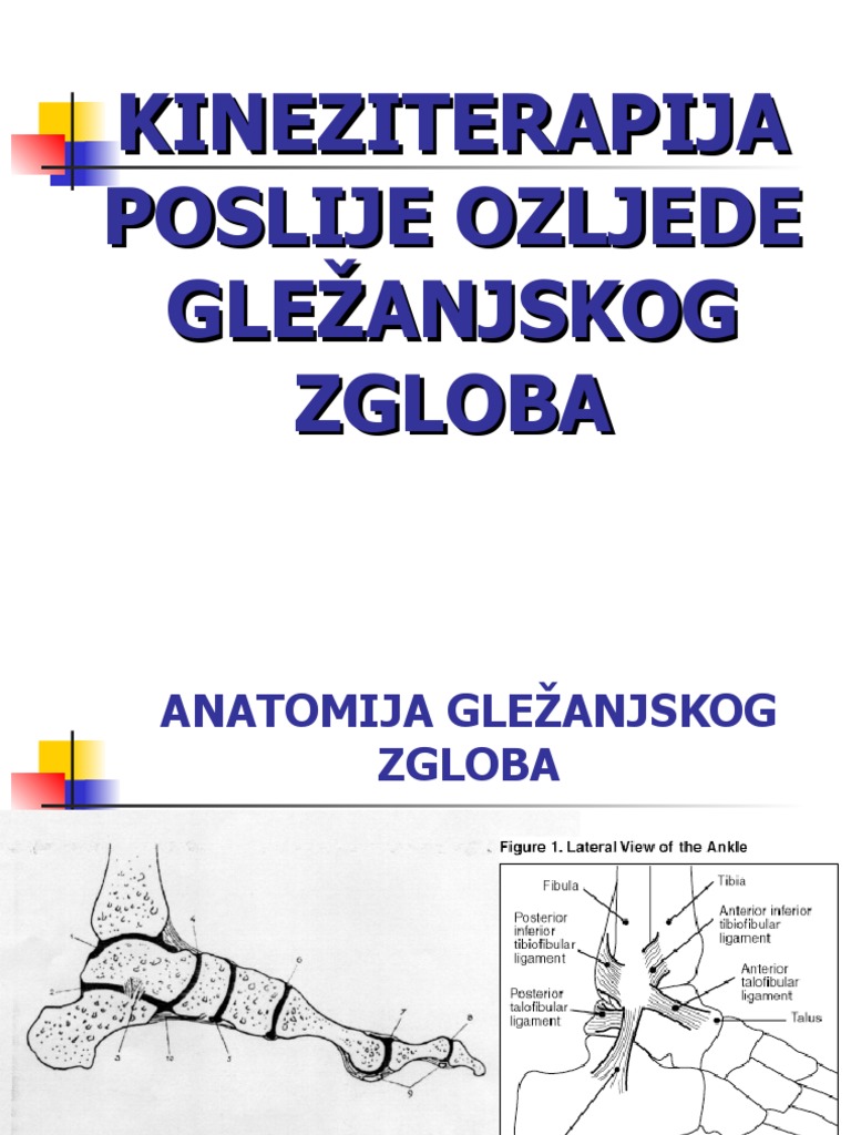 Kineziterapija Poslije Ozljede Glezanjskog Zgloba HR | PDF