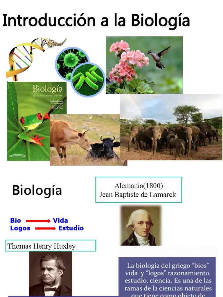 Biologia y Teoria Del Origen de La Vida | PDF | Biología | Biología ...