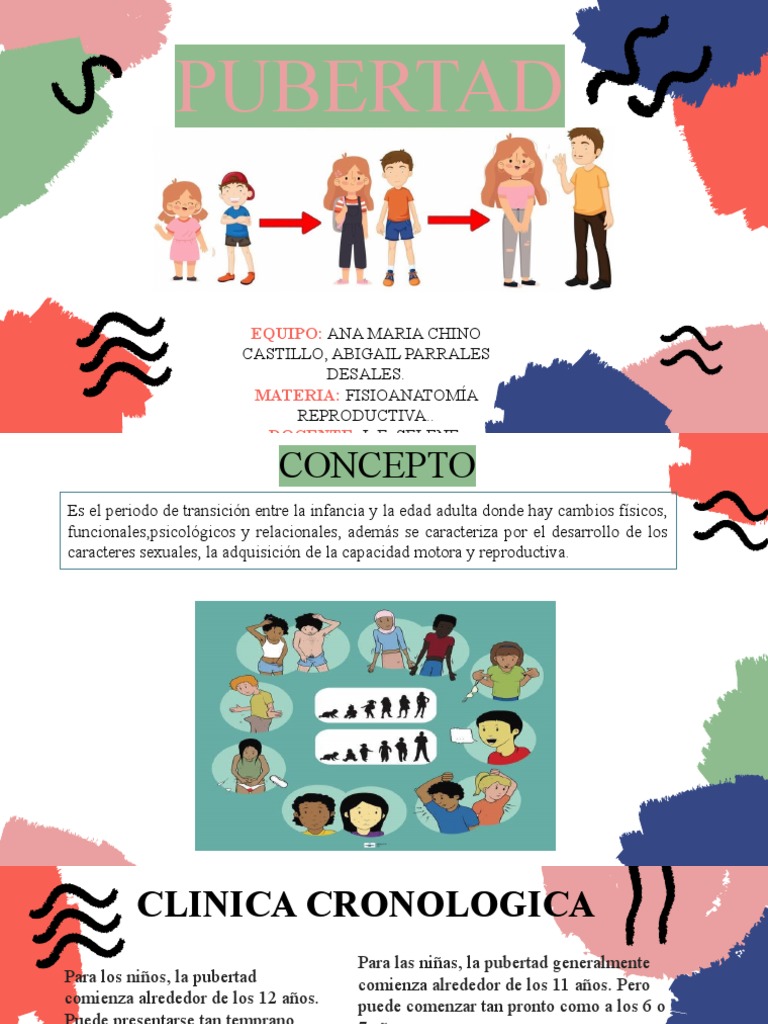 Cambios en la Pubertad: Guía Completa | PDF | Pubertad | Testículo