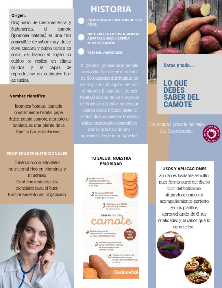 Tríptico Sobre Camote | PDF