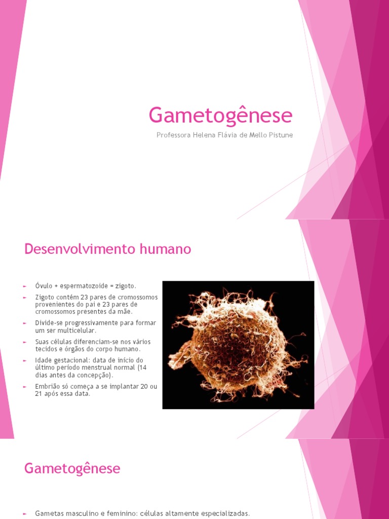 Gametogênese, Fecundação e Nidação | PDF | Ovário | Hormônio luteinizante