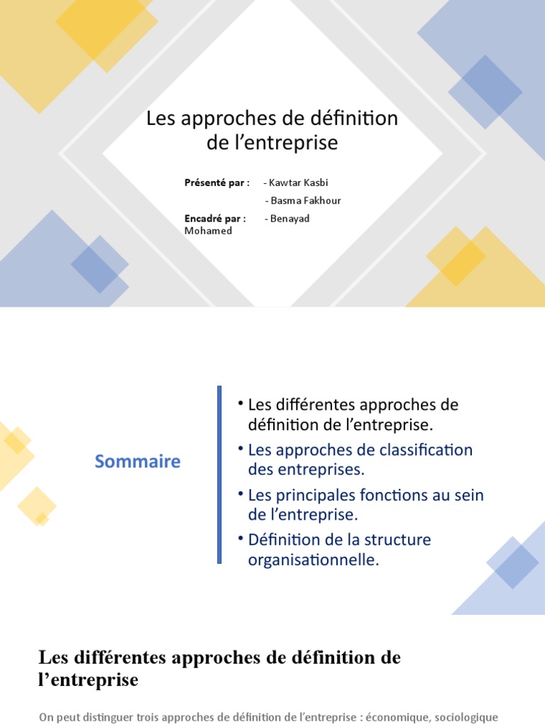 Approches de définition de l'entreprise | PDF | Business | Sodles