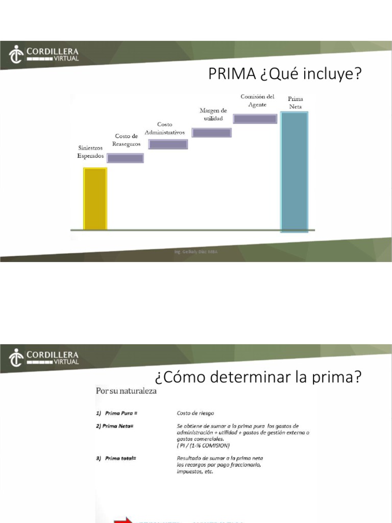 Calculo de Prima | PDF | Economias
