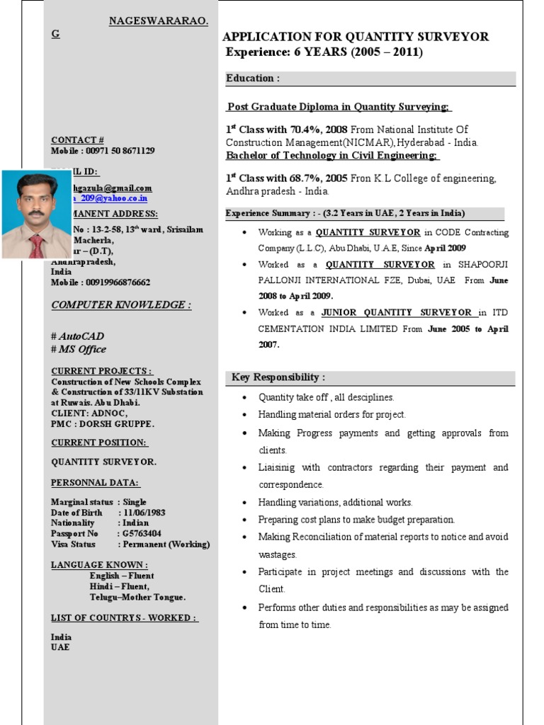CV Nagesh | PDF | United Arab Emirates | Business
