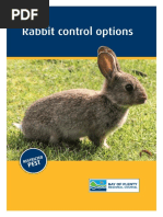 Dreamwear Masks Sizing Guide | PDF