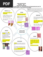 Células Lábiles | PDF | Relaciones personales, crianza y desarrollo ...