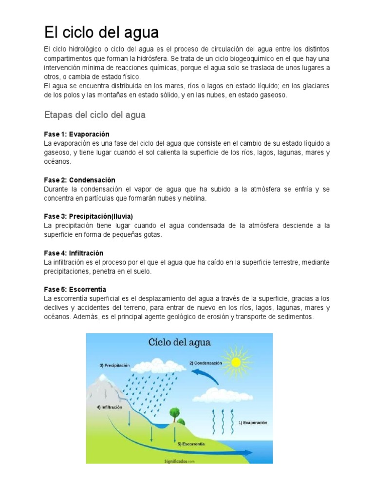 Ciclo Del Agua I | PDF