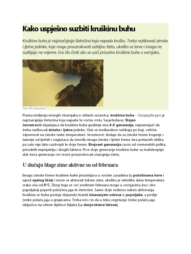 Kako Uspješno Suzbiti Kruškinu Buhu | PDF