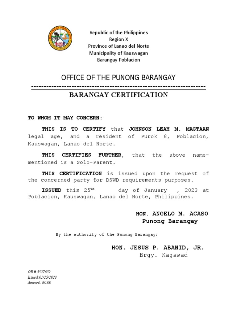 Cert. of Solo Parent | PDF