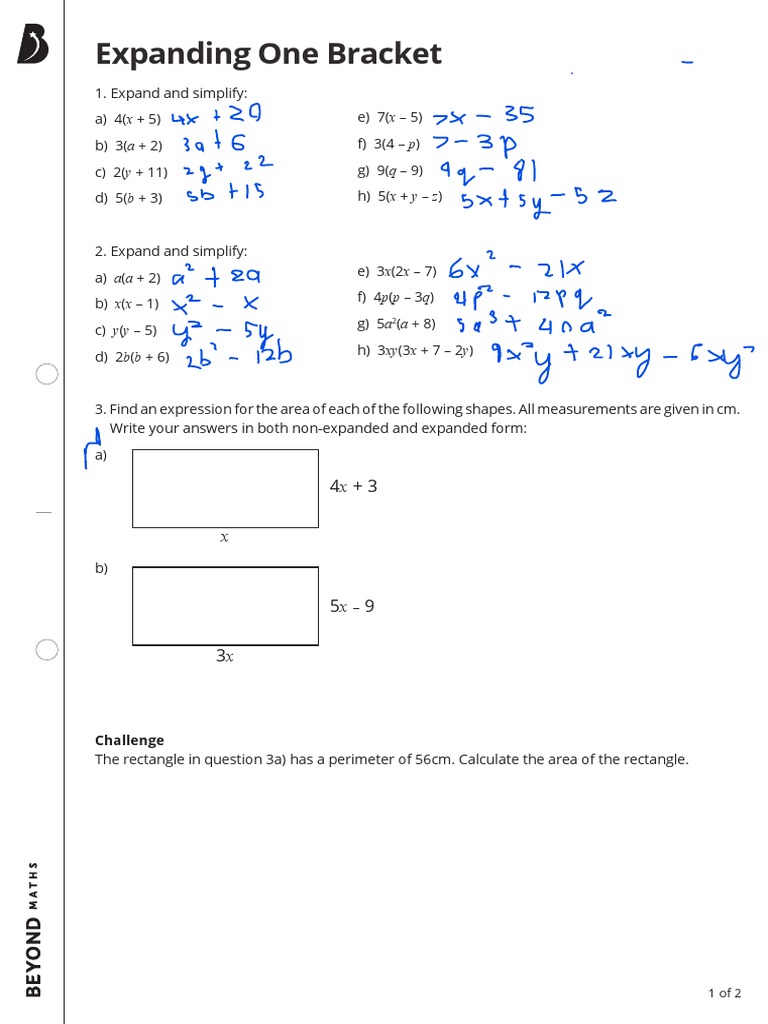 Expanding One Bracket Activity | PDF | Area | Mathematics