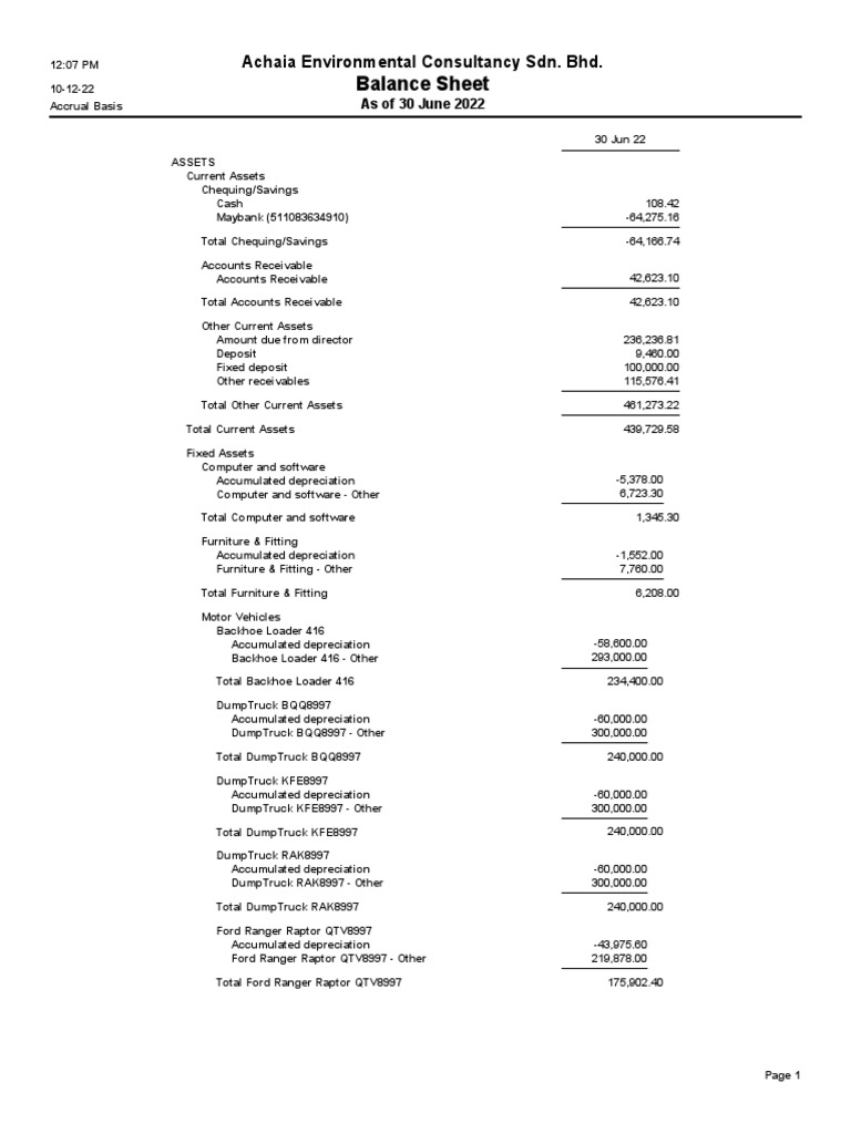 Balance Sheet 2022 | PDF | Depreciation | Equity (Finance)