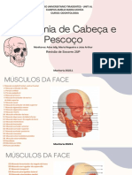 Forames Do Crânio | PDF | Neuroanatomia | Anatomia humana