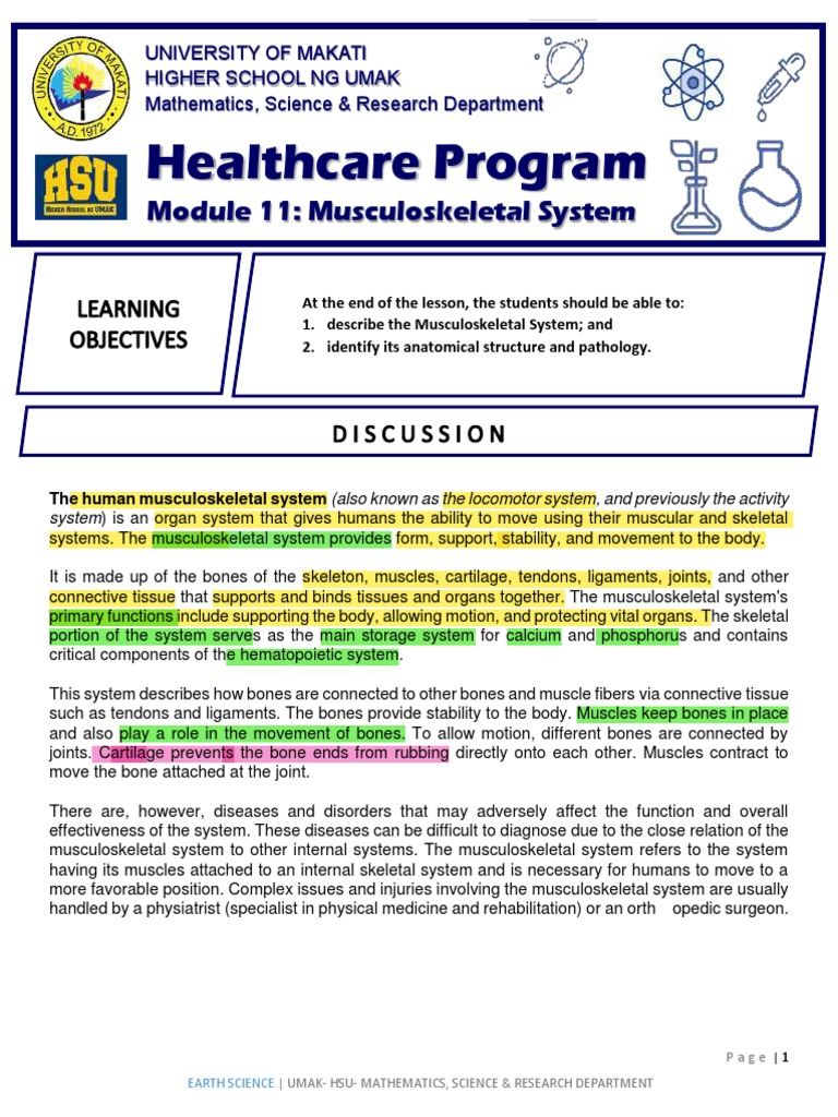 HCP MODULE 11 Musculoskeletal System | PDF | Human Musculoskeletal ...