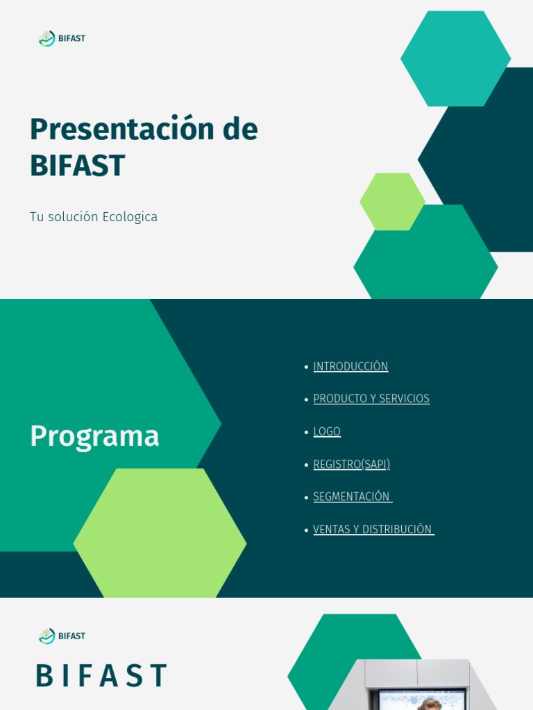 Bifast | PDF | Tecnologías de la información | Software