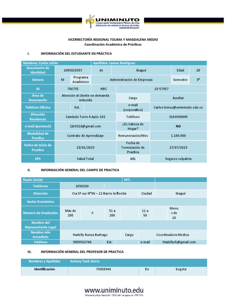 Plan Formativo de Prácticas | PDF