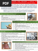 Tríptico NOM 022 SSA3 2012 | PDF | Enfermedades y trastornos | Cuidado de la salud