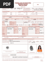 Instructivo Llenado Planilla OVT | PDF | Tiempo extraordinario | Derecho laboral