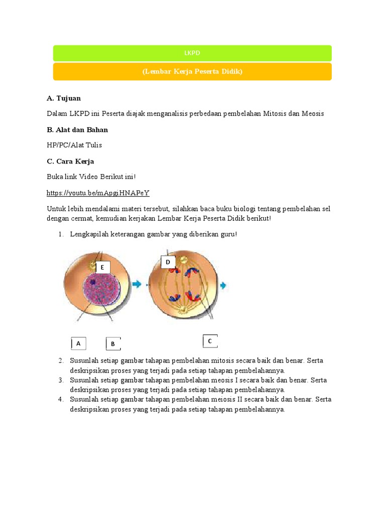 LKPD Pembelahan Sel Ada Tts | PDF | Kesehatan Holistik