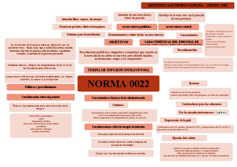 Mapaconceptual Nom 022 | PDF | Terapia intravenosa | Medicina