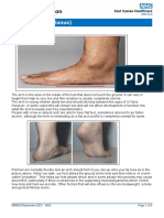 Pes planus and cavus | PDF | Foot | Human Leg