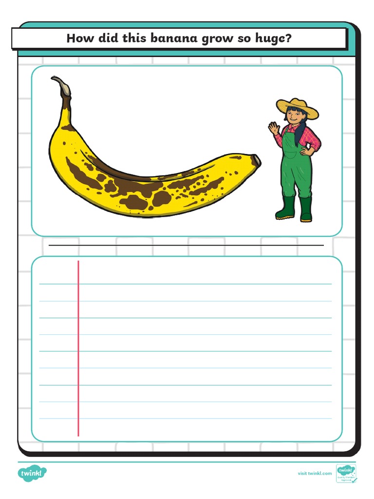 An Exploration of Banana Growth: How Did This Banana Grow So Huge? | PDF