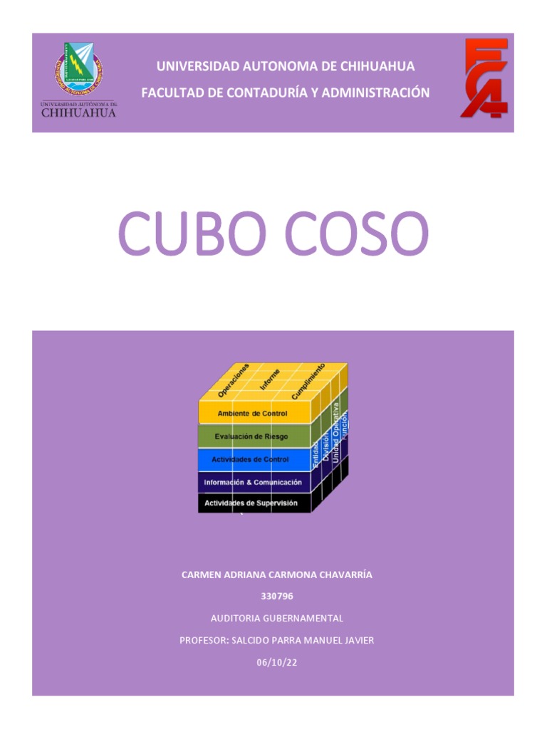 Cubo COSO 330796 | PDF | Auditoría | Business