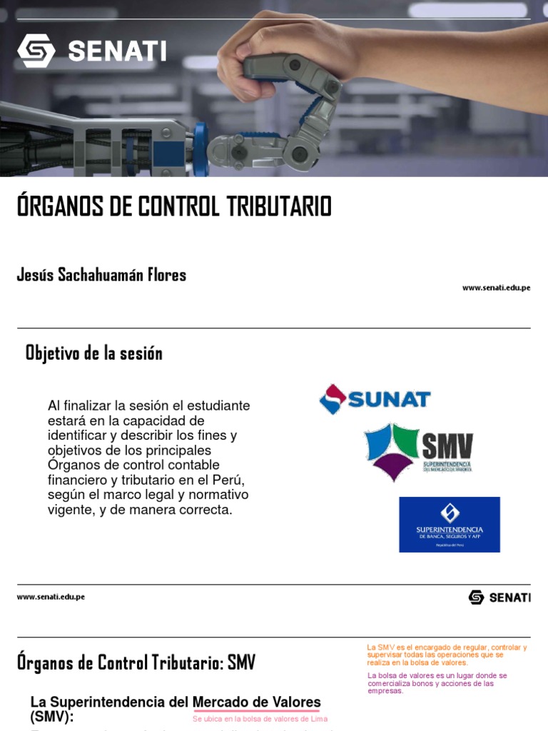 Organos de Control Tributario JRSF CF | PDF | Seguro | Bolsa