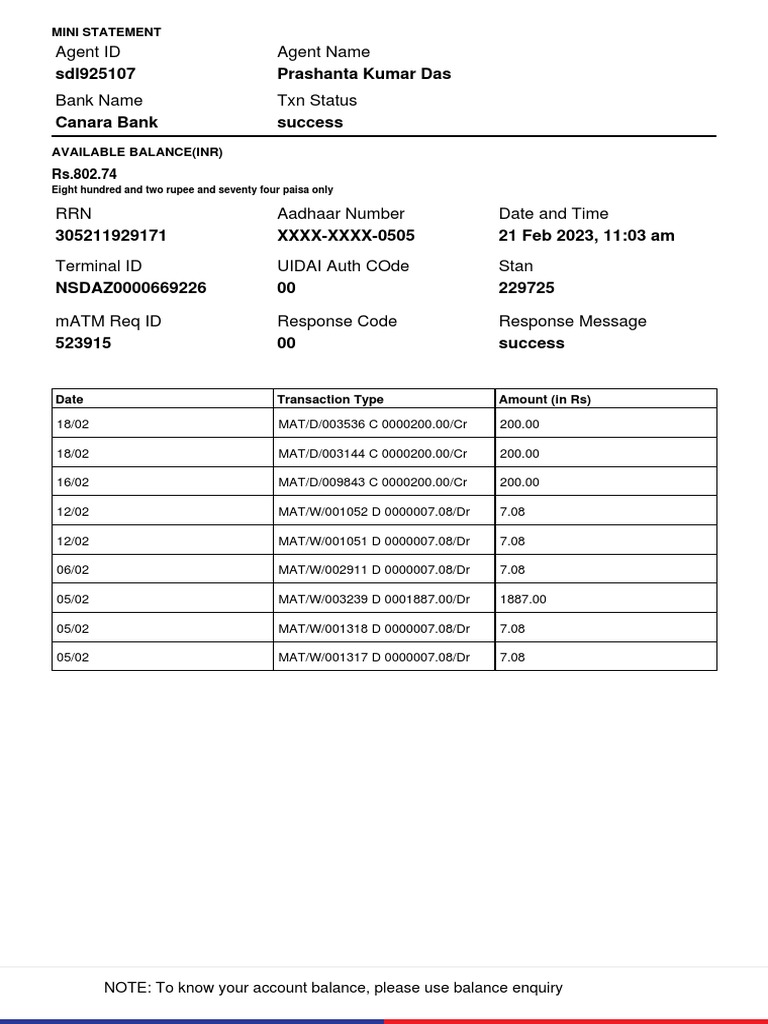 MiniStatement Invoice | PDF