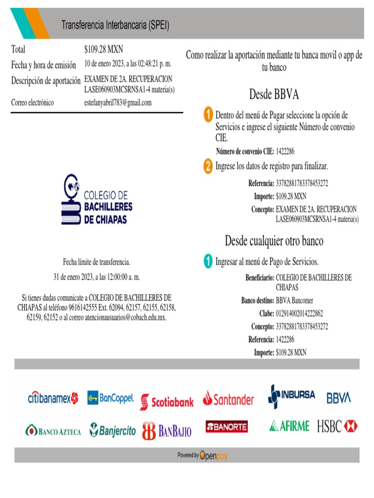 Chrome | PDF | Industrias de servicio