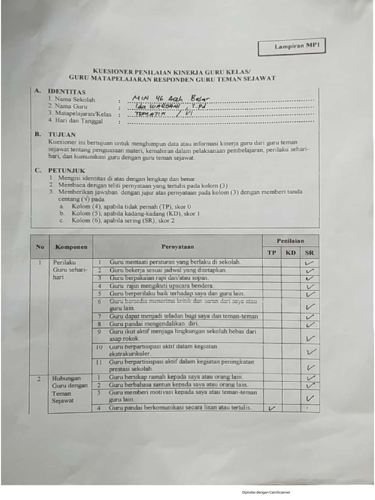 Laporan Umpan Balik Teman Sejawat | PDF