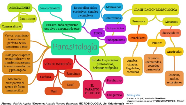 Mapa Conceptual: Parasitología. | PDF
