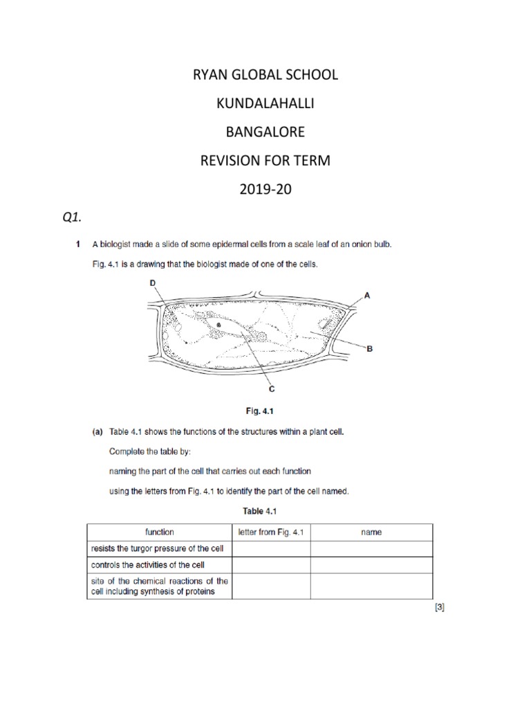 Revision Paper Grade9 | PDF