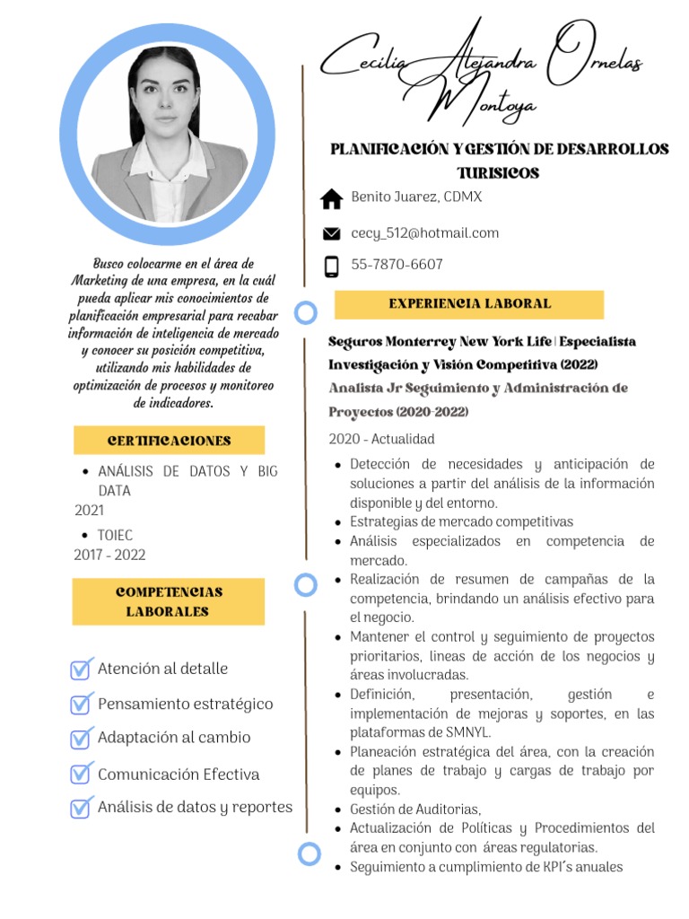 CV Cecilia A. Ornelas Montoya | PDF | Planificación | Marketing