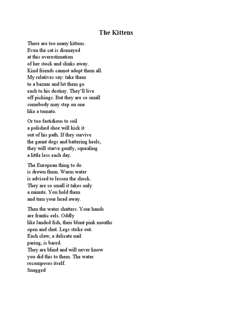 Kittens by Maki Kureshi | PDF | Cats