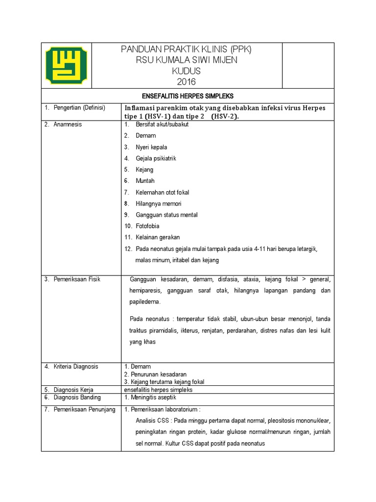 Ensefalitis - Format PPK (Panduan Praktek Klinis) | PDF