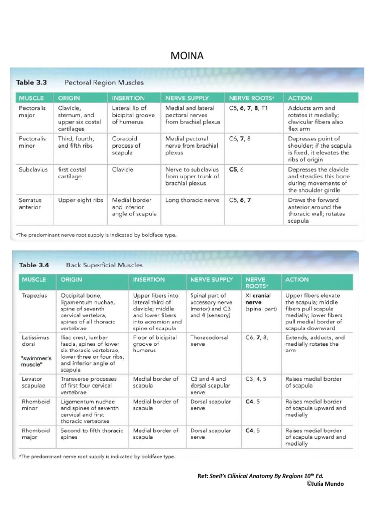 Moina Table Summary Pdf