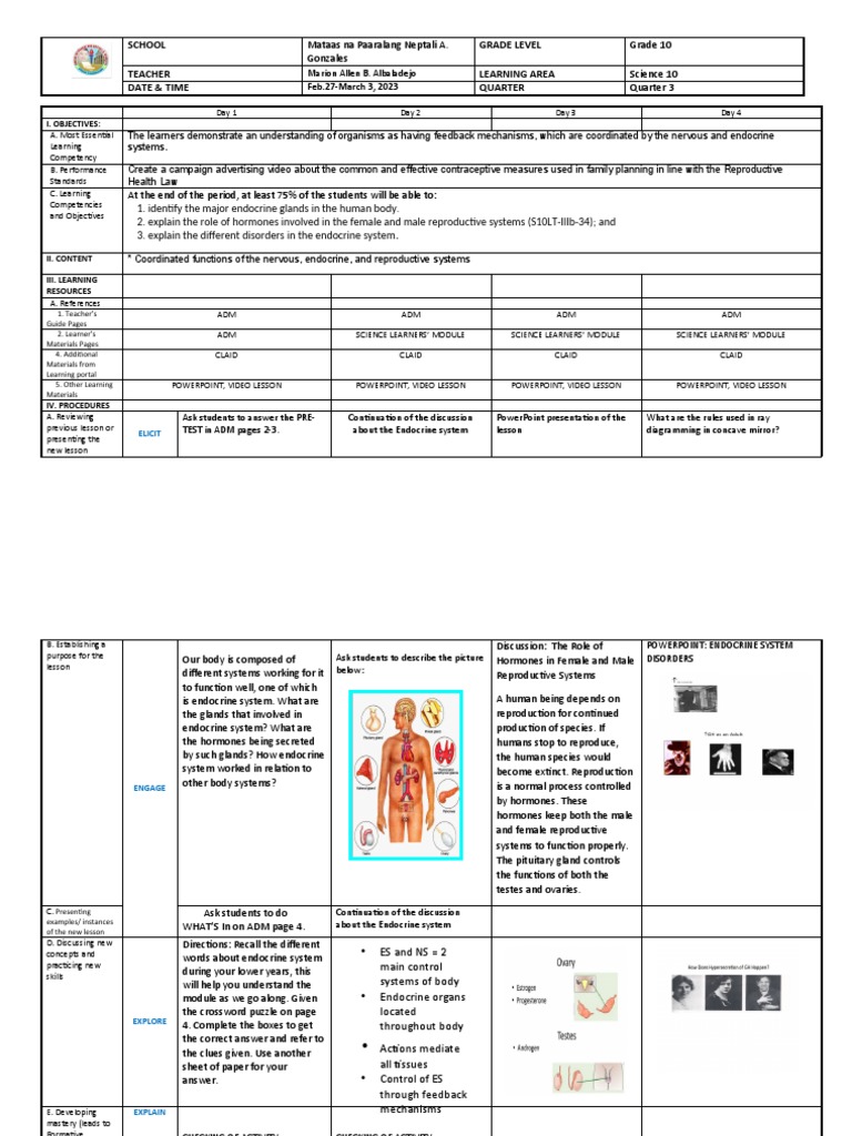Grade 10 Science: Endocrine System Overview | PDF