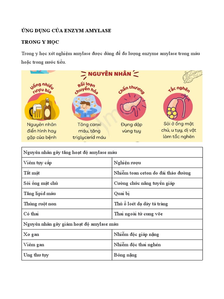 NG D NG C A Enzym Amylase | PDF