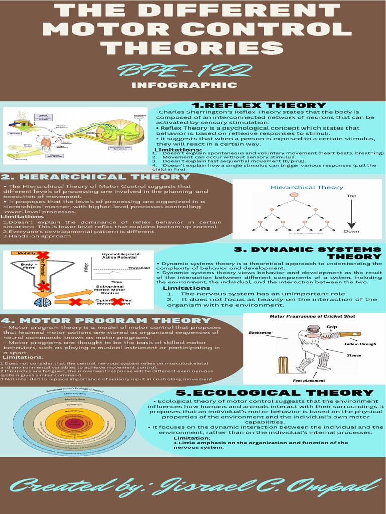 Motor Control Theories Overview | PDF | Motor Control | Nervous System