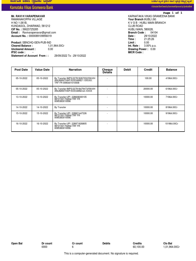Bank statement summary | PDF | Debits And Credits | Personal Finance