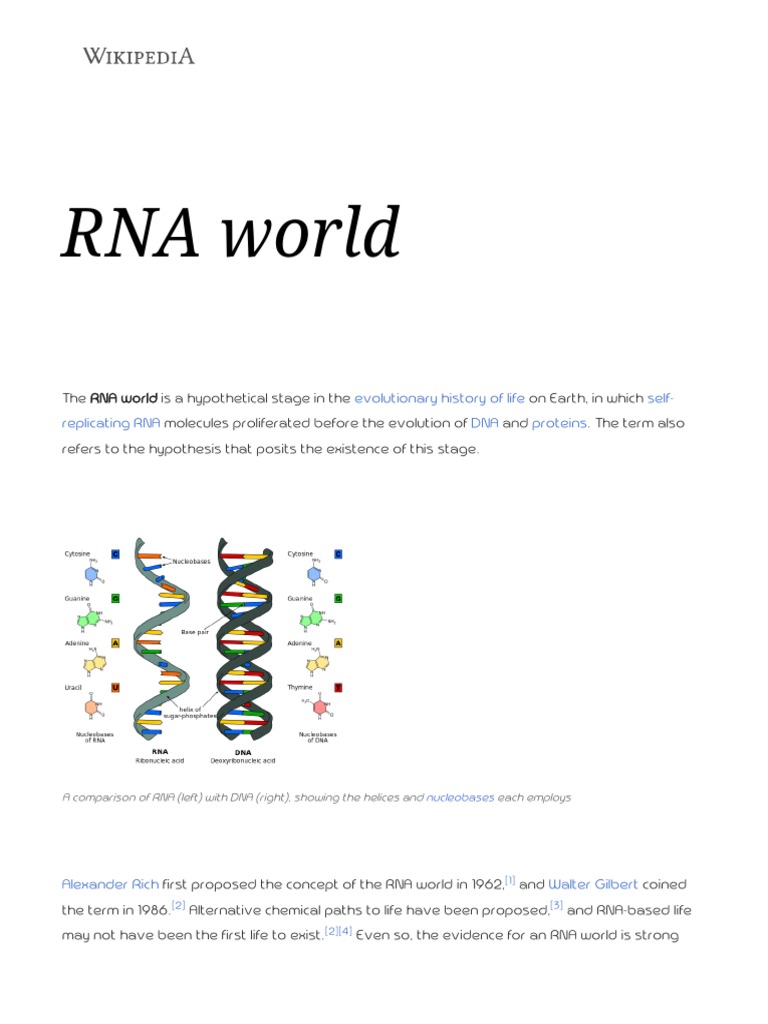 RNA World - Wikipedia | PDF | Rna | Life