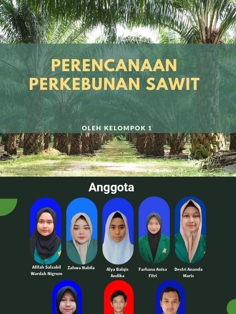 Perencanaan Perkebunan Sawit | PDF